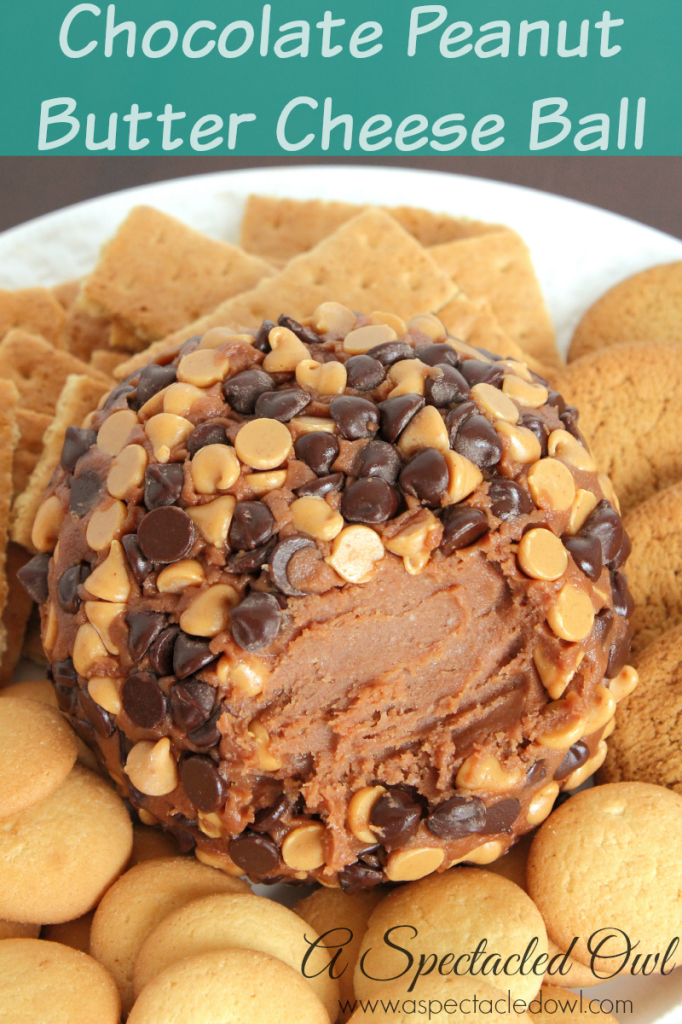 Chocolate Peanut Butter Cheese Ball Recipe - A Spectacled Owl