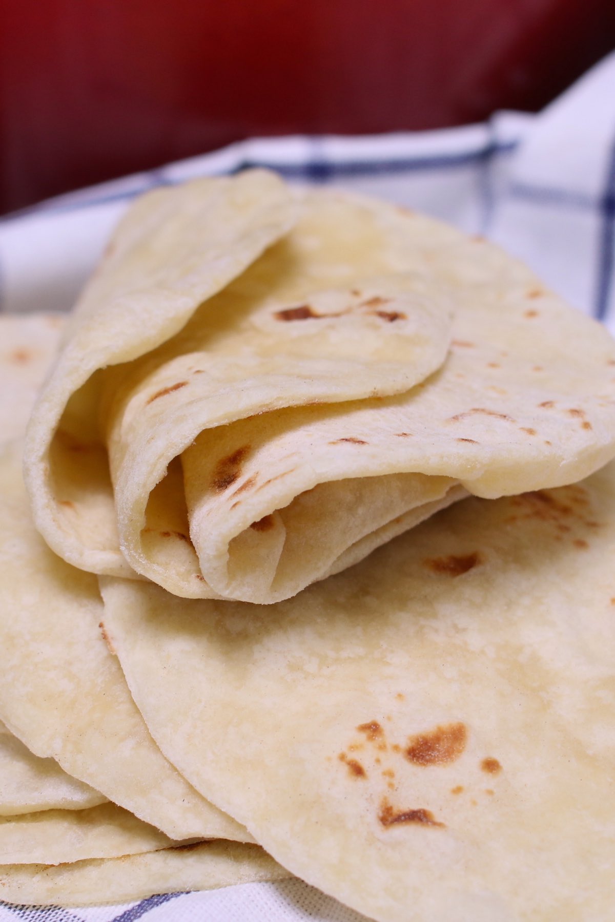 Can You Freeze Tortillas (Pro Tips) - A Spectacled Owl