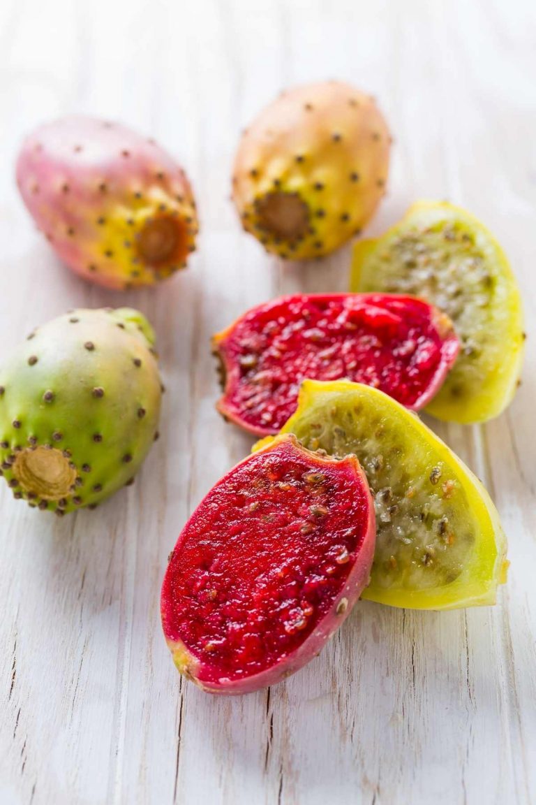 Tuna Fruit (Cactus Fruit or Prickly Pear) - A Spectacled Owl