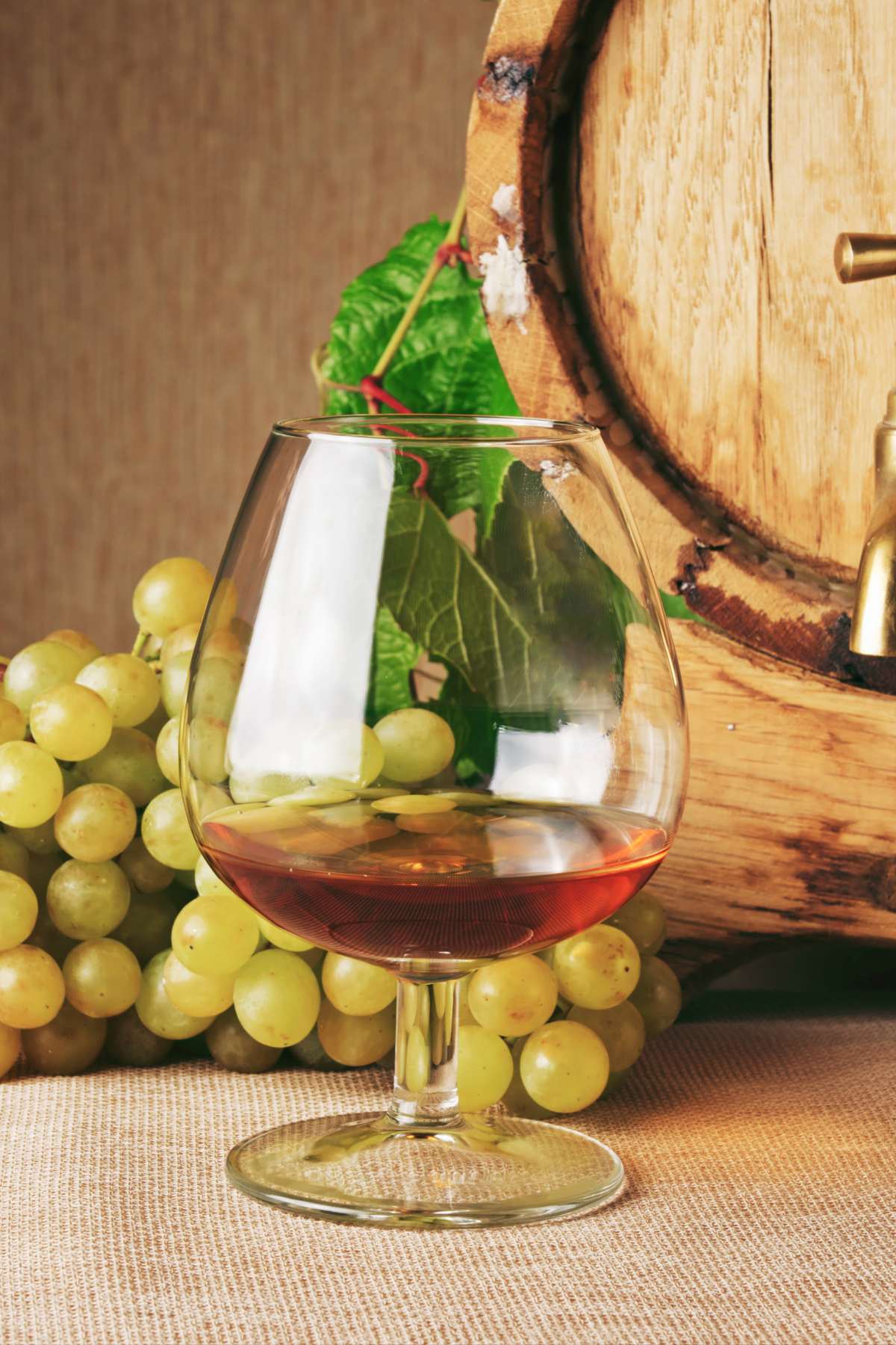 10 Types of Brandy - A Spectacled Owl